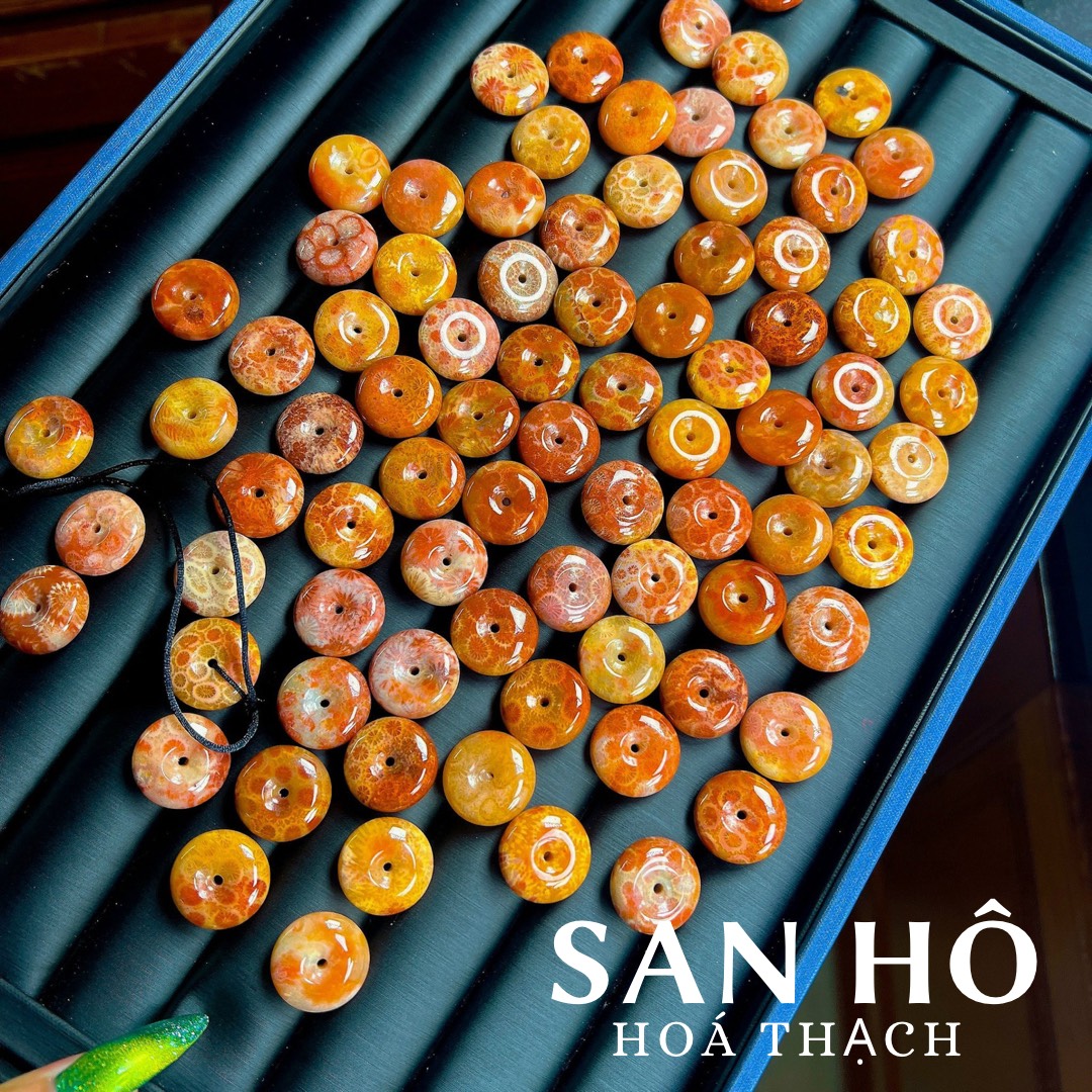 đồng điếu đá san hô